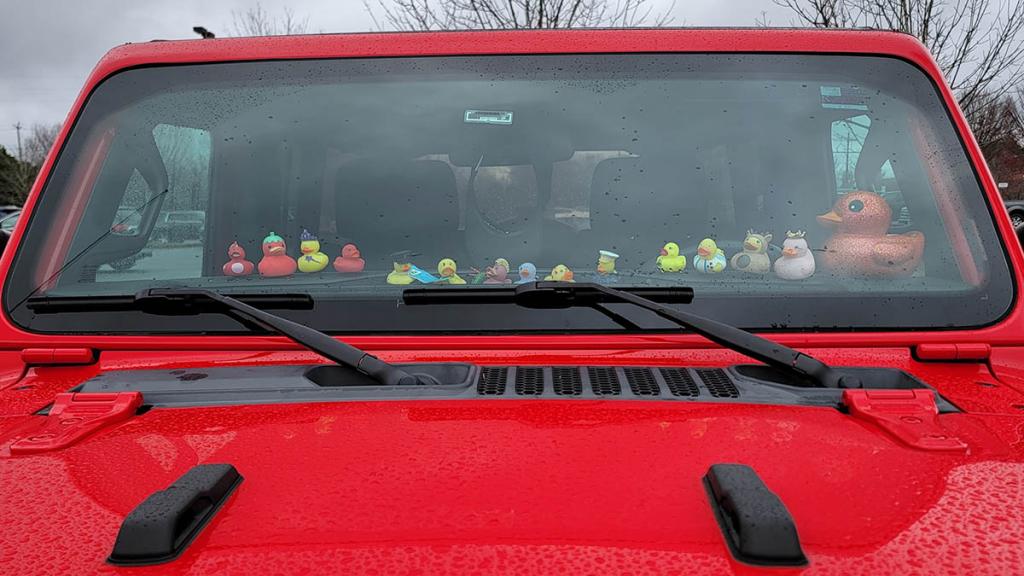 What's Up With Jeep Ducks? - Autotrader